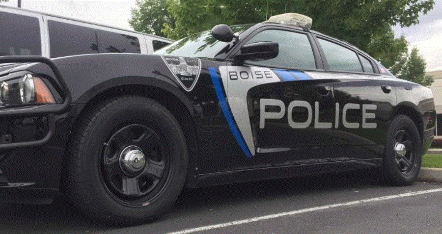 Police: Mountain lion spotted in east Boise - KIVITV.com Boise, ID